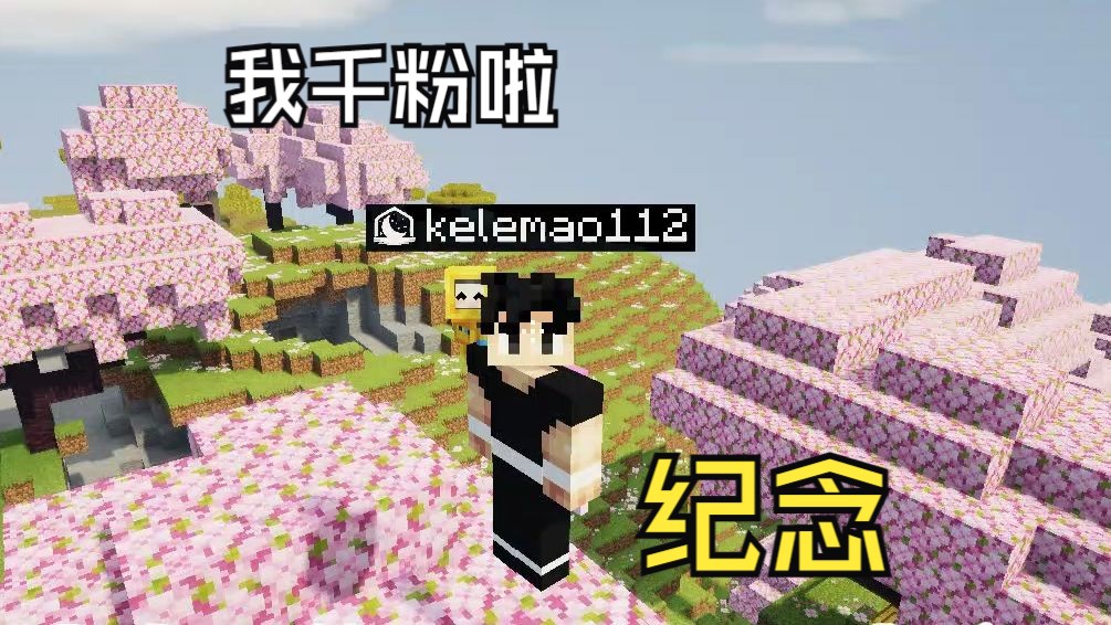 【千粉纪念】 对自己的小小总结_哔哩哔哩bilibili_我的世界