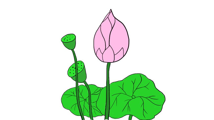 一滴水画荷花、简单几笔画幅荷花图!亲子互动绘画、简笔画涂鸦玩