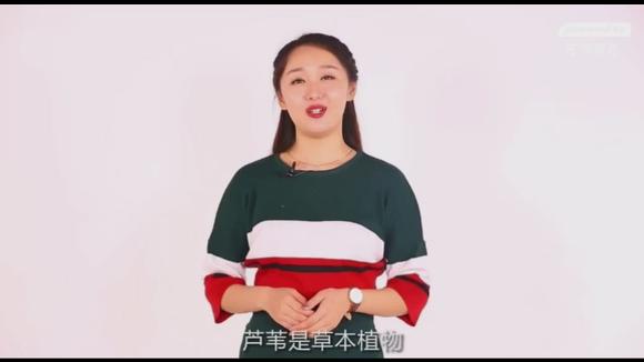 「手竿钓鱼很简单」第7期 浮漂的种类和参数 如何选择手竿浮标