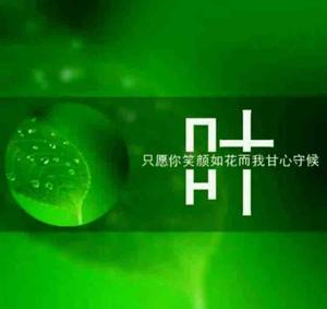 I小I叶I子I 