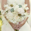 喜欢吃甜橙de褚师瀚海 