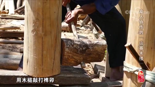 [中华优秀传统文化]团结就是力量