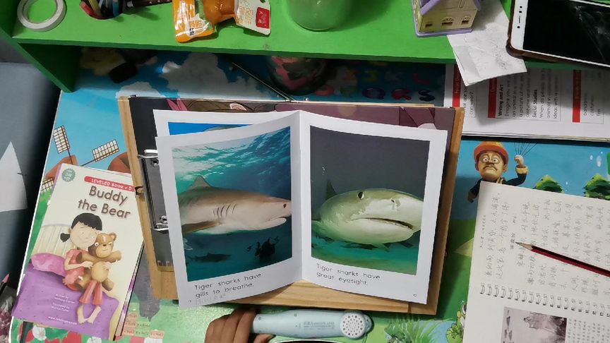 raz分级阅读每天打卡