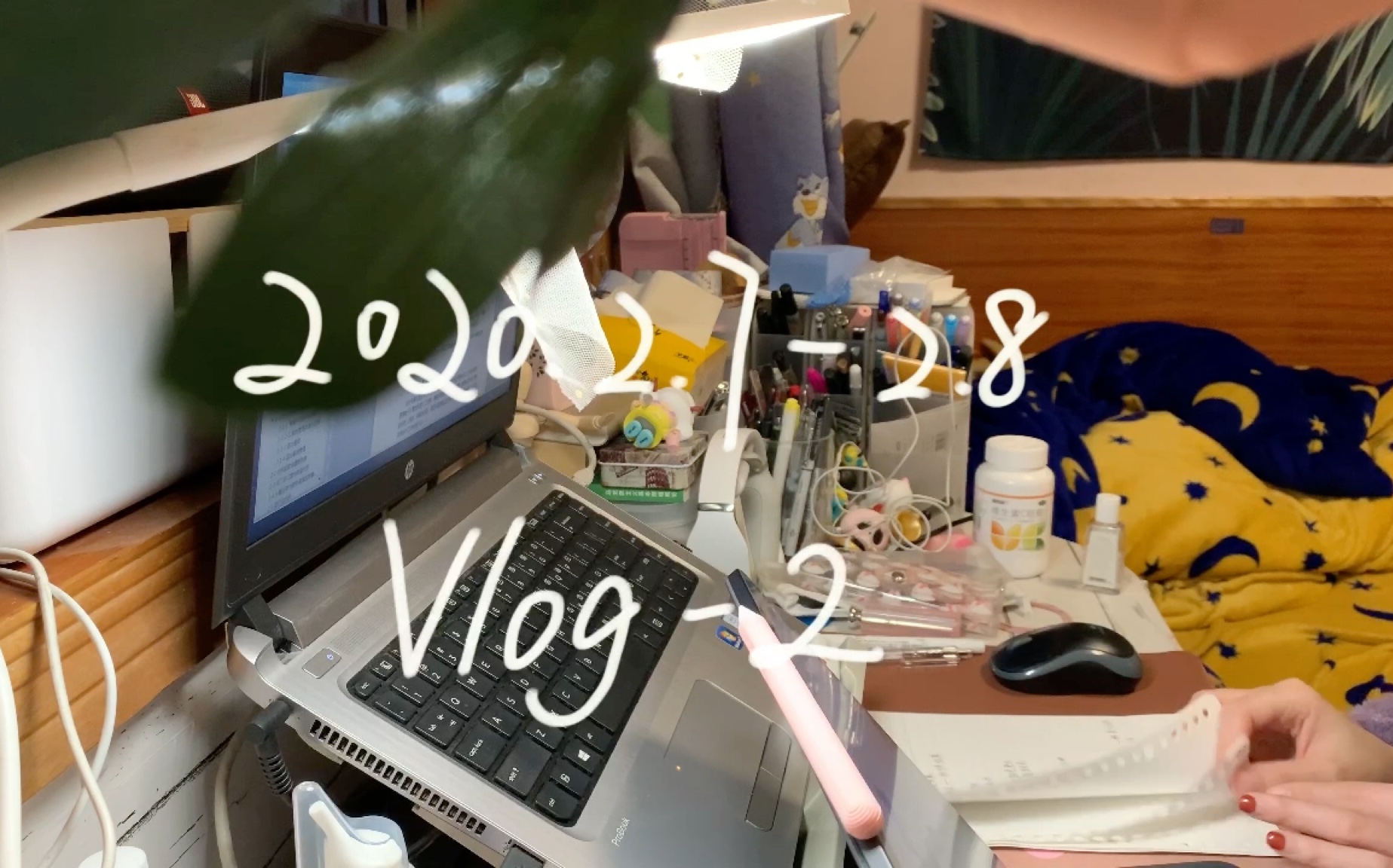2020日常学习生活记录-vlog2
