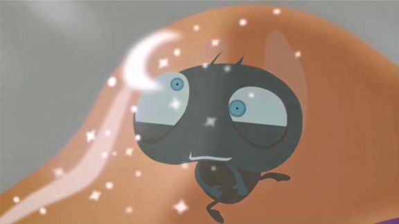 动漫短片:60秒完成心愿,苍蝇1秒就可以繁殖后代?