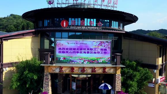 欢迎湖北省总工会优秀职工、劳模莅临四季花海指导工作#劳模