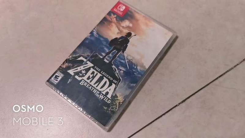 国行switch,萌新开荒,塞尔达,不看攻略