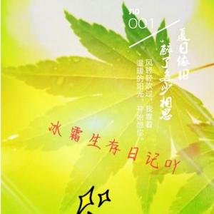 冰霜生存日记 