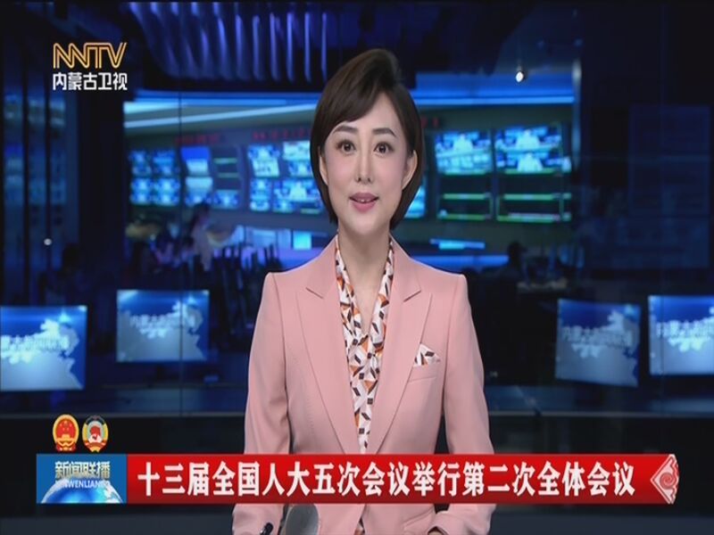 [内蒙古新闻联播]十三届全国人大五次会议举行第二次全体会议