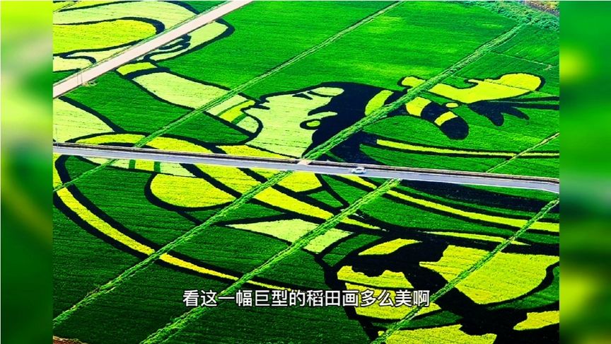 涉县稻田画网红打卡地,你知道是怎么种植出来的吗?