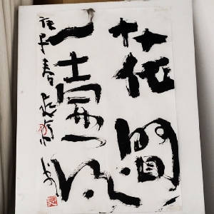 野生编剧木三皮 