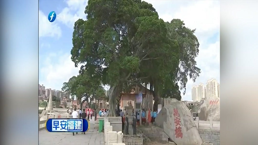 泉州举办非遗文化普法主题宣传活动