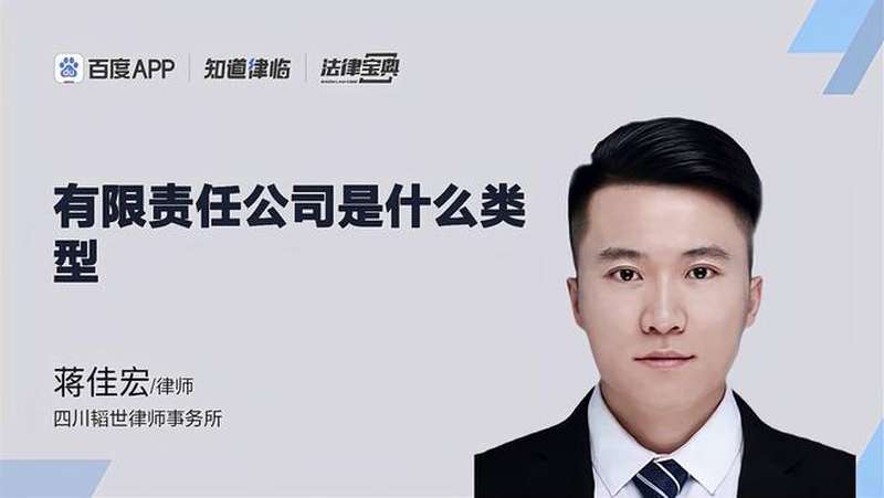 有限责任公司是什么类型