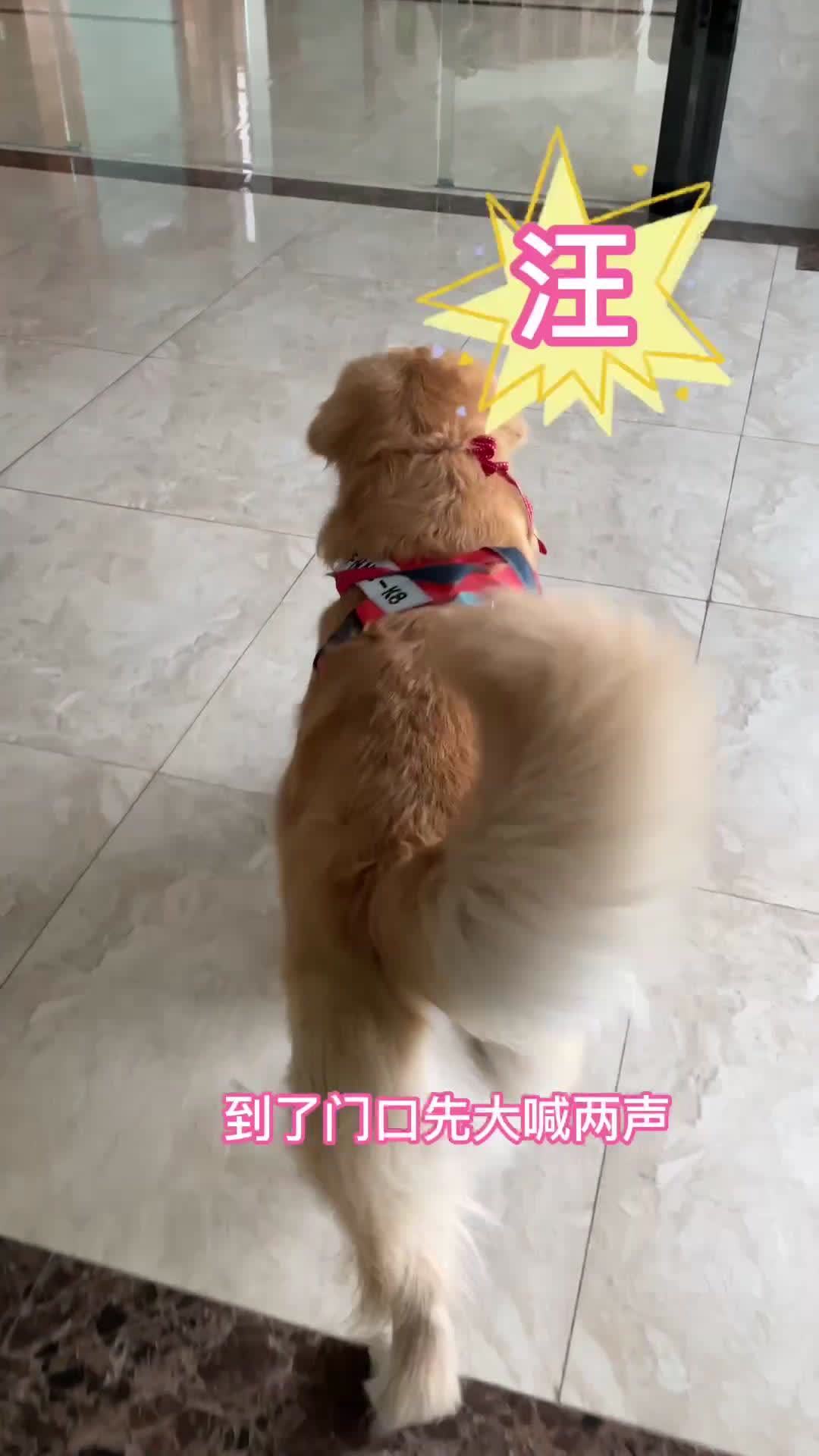 走路目中无人,撞到自动玻璃门后装着若无其事往前走