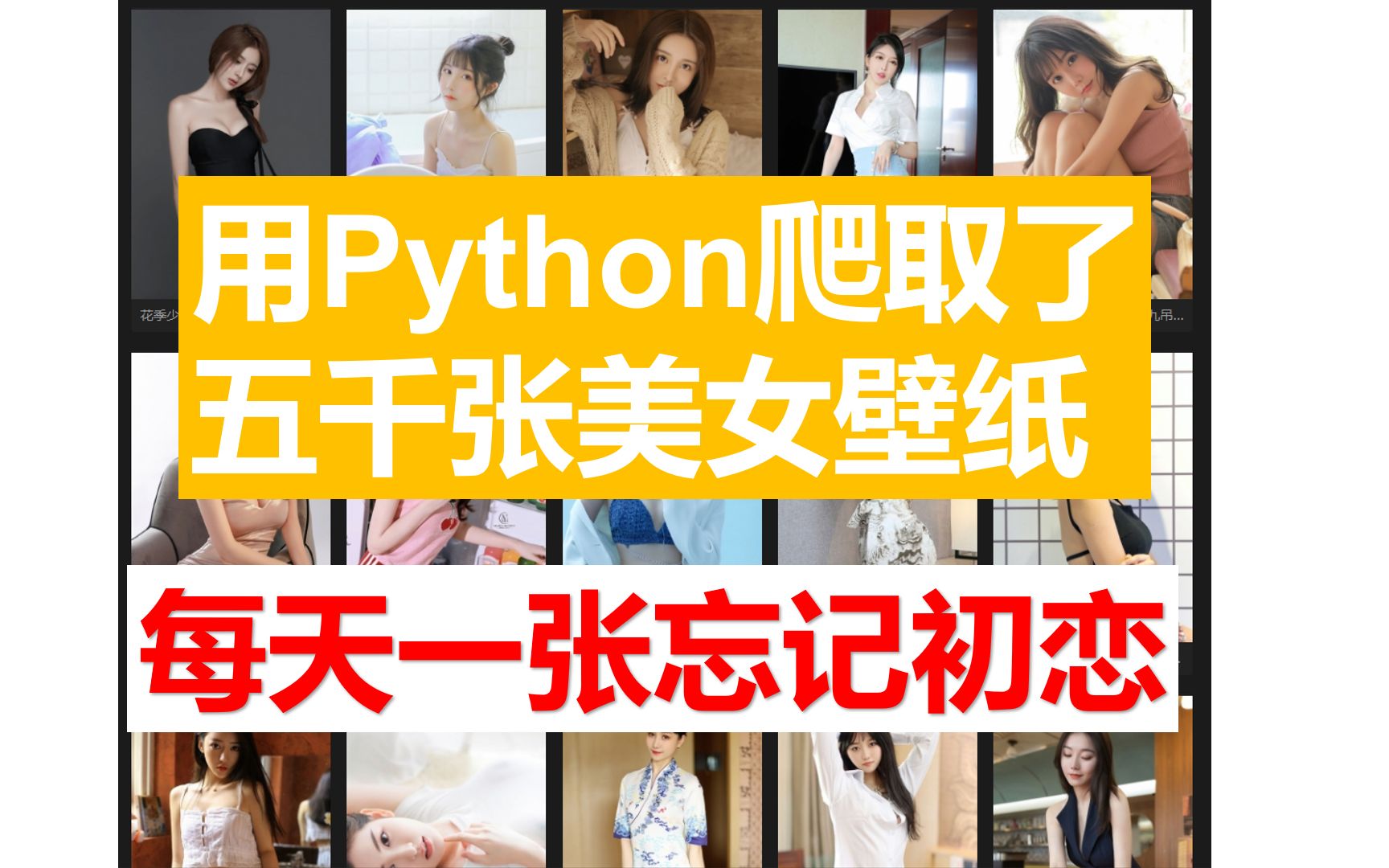 我用Python爬取了五千张美女壁纸,每天一张忘记初恋!
