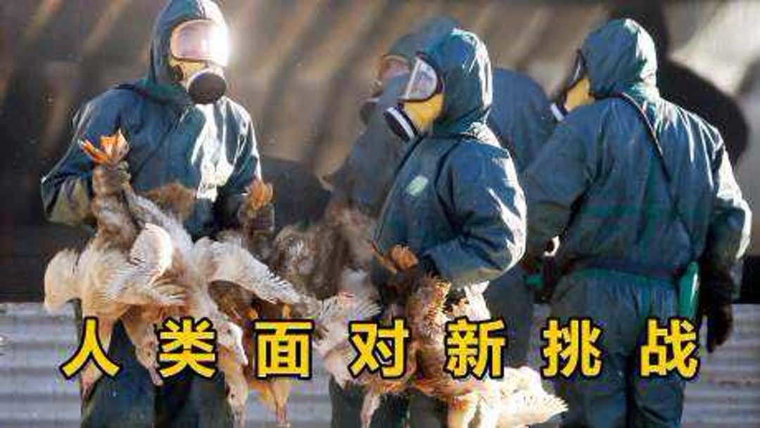 这次已不是新冠,俄罗斯有人感染新型病毒:系全球首次人类感染