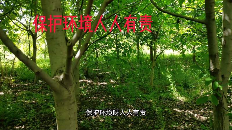 保护环境人人有责!