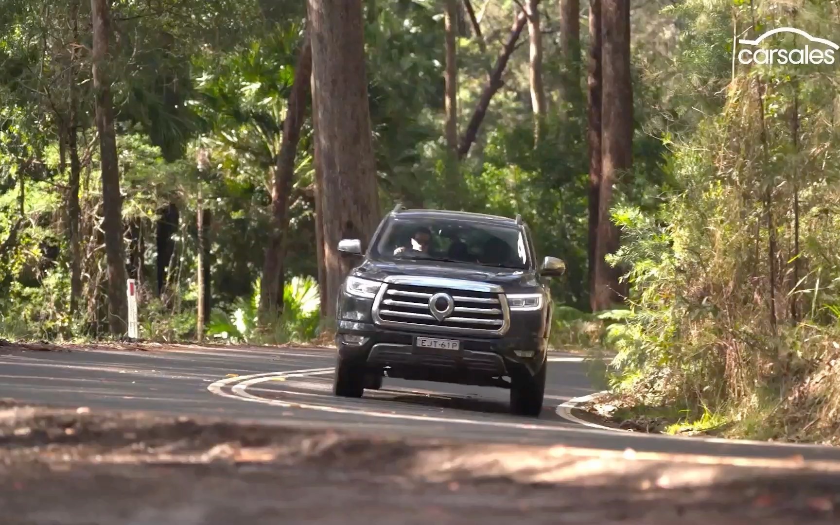 长城炮 海外评测