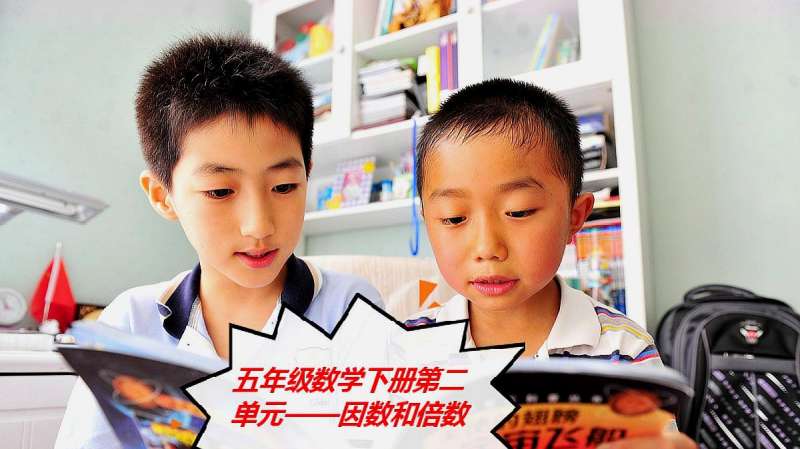五年级下册数学第二单元——因数和倍数