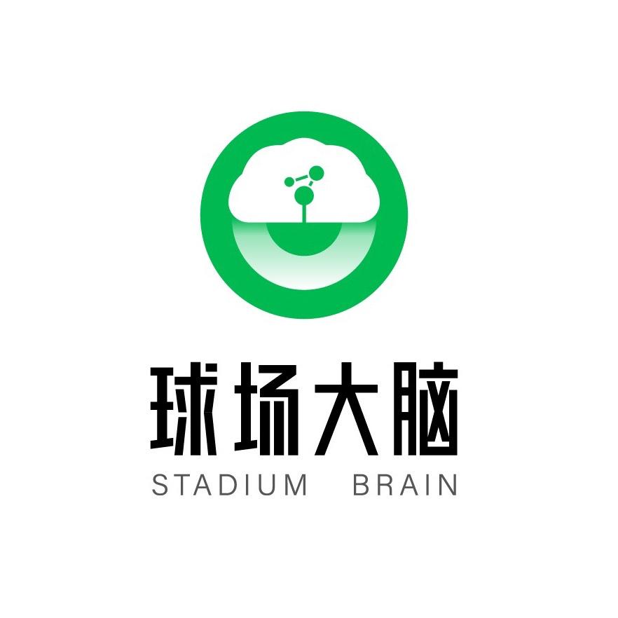 球场大脑 
