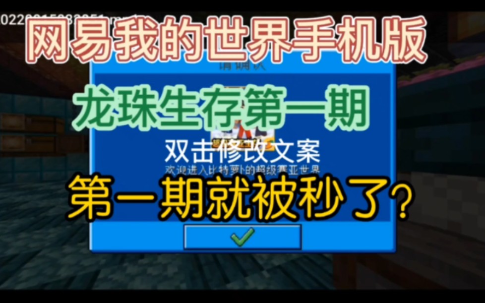 网易我的世界,龙珠模组生存第一期