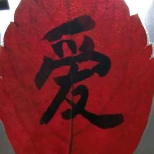 快乐善行zj 