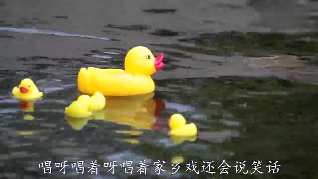 儿歌《数鸭子》数鸭歌