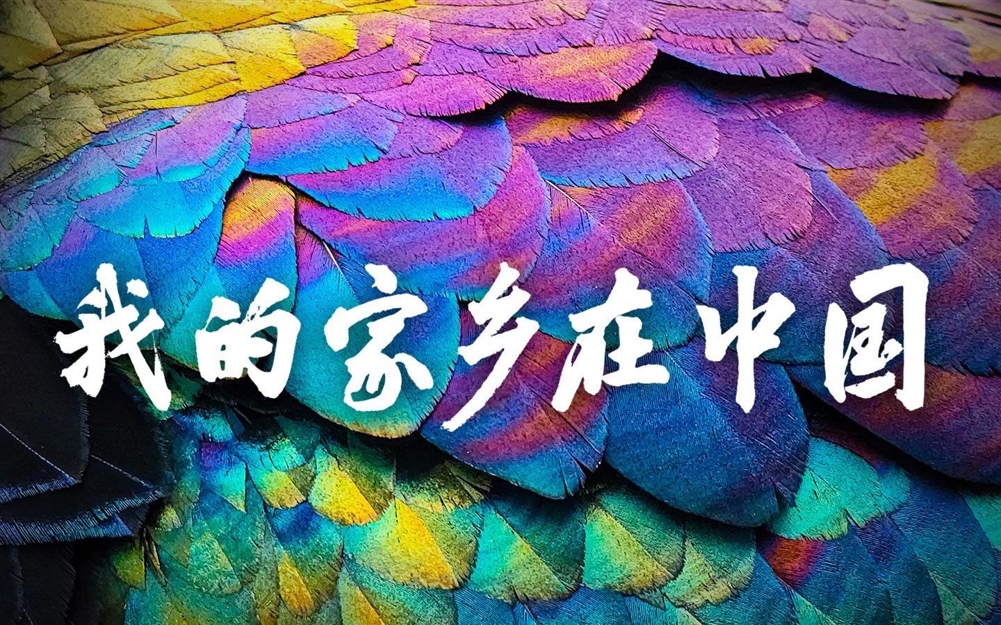 动物界的光学魔术大师来了!除了大熊猫,它们竟然也是中国特有的.