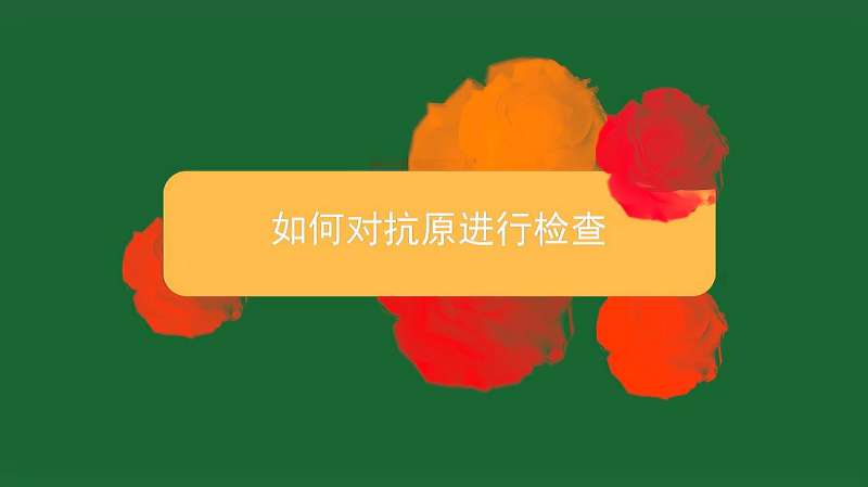 如何对抗原进行检查