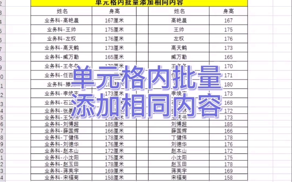 单元格内批量添加相同内容