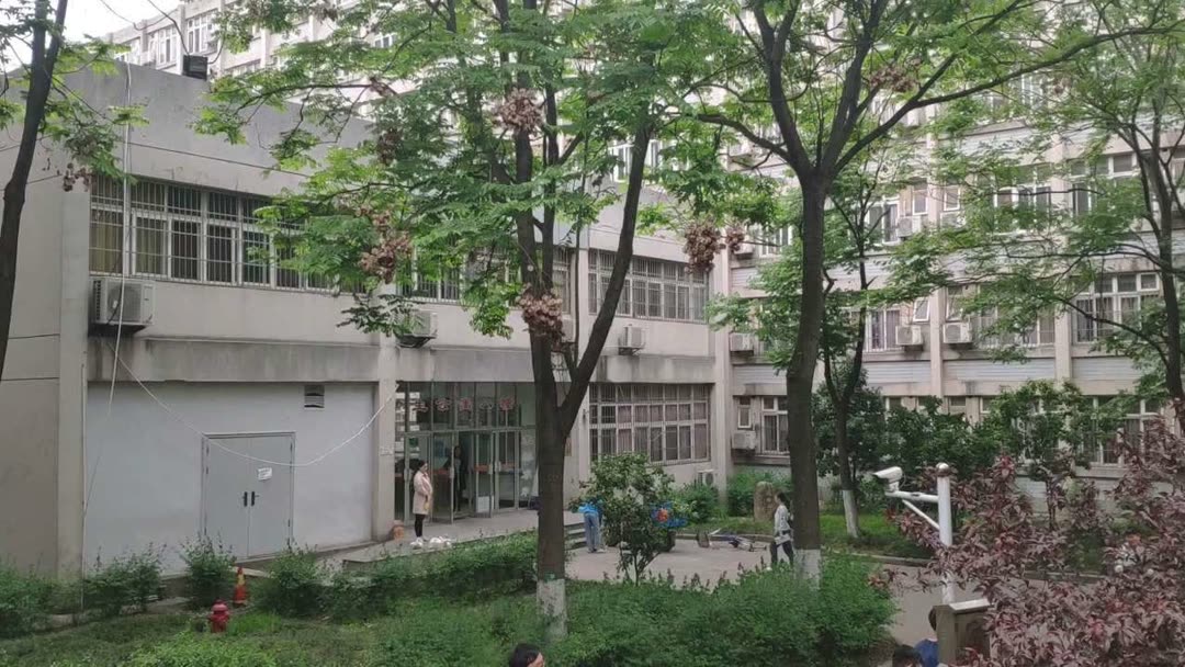 参观南京林业大学研究生宿舍,错落在绿茵中,很是幽静