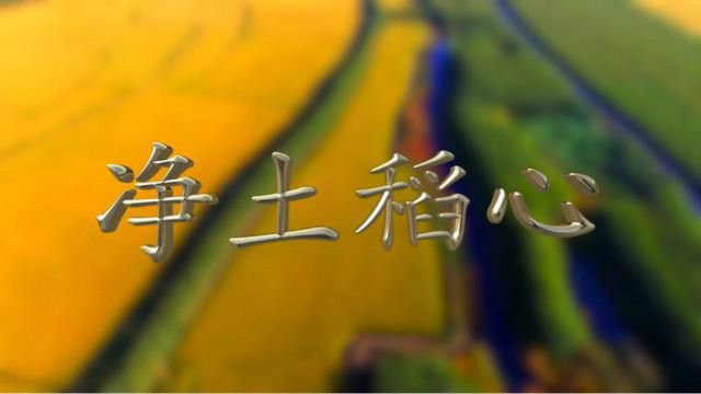 净土稻心——舒兰大米宣传片