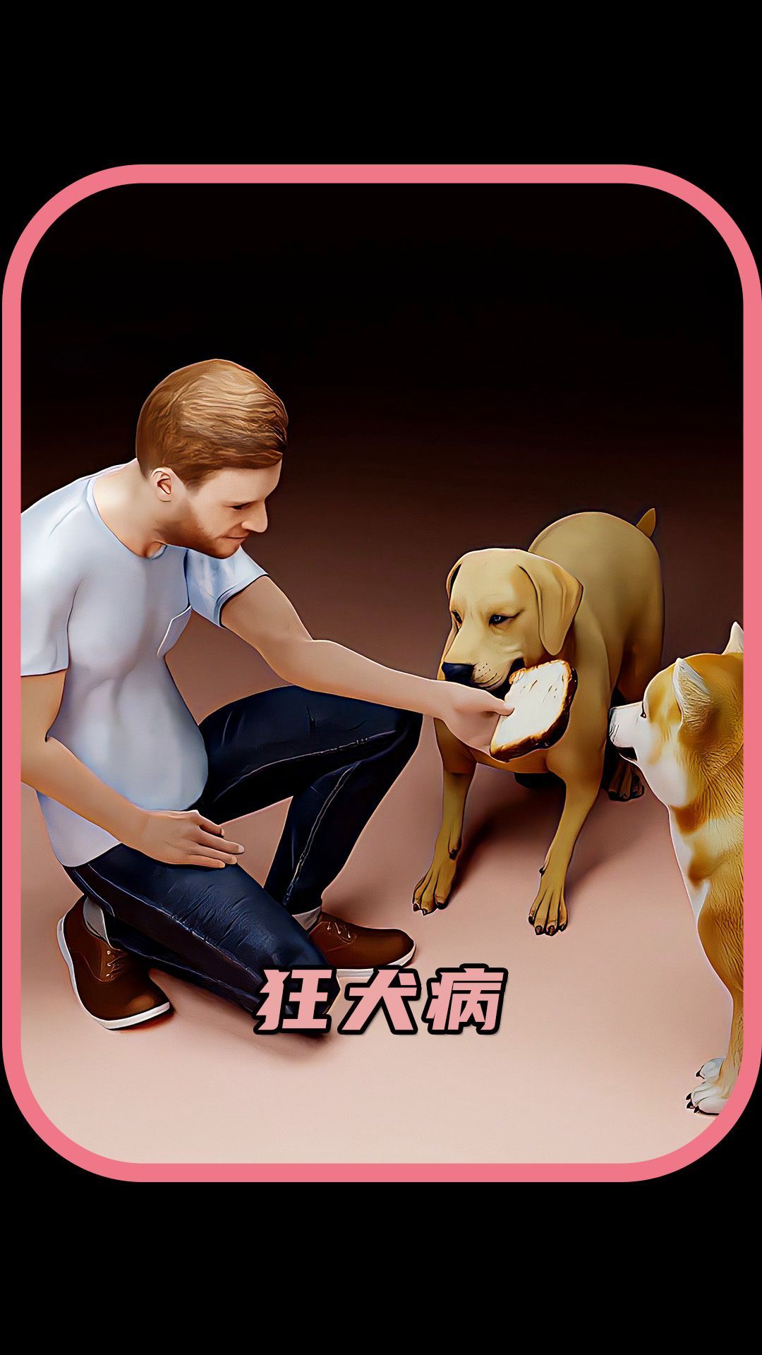 被流浪狗咬到之后的正确做法 被流浪狗咬到之后的正确做法#奇闻异事 #百科 #解说 #科普 #生活 