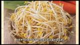 豆芽的功效与作用及营养价值