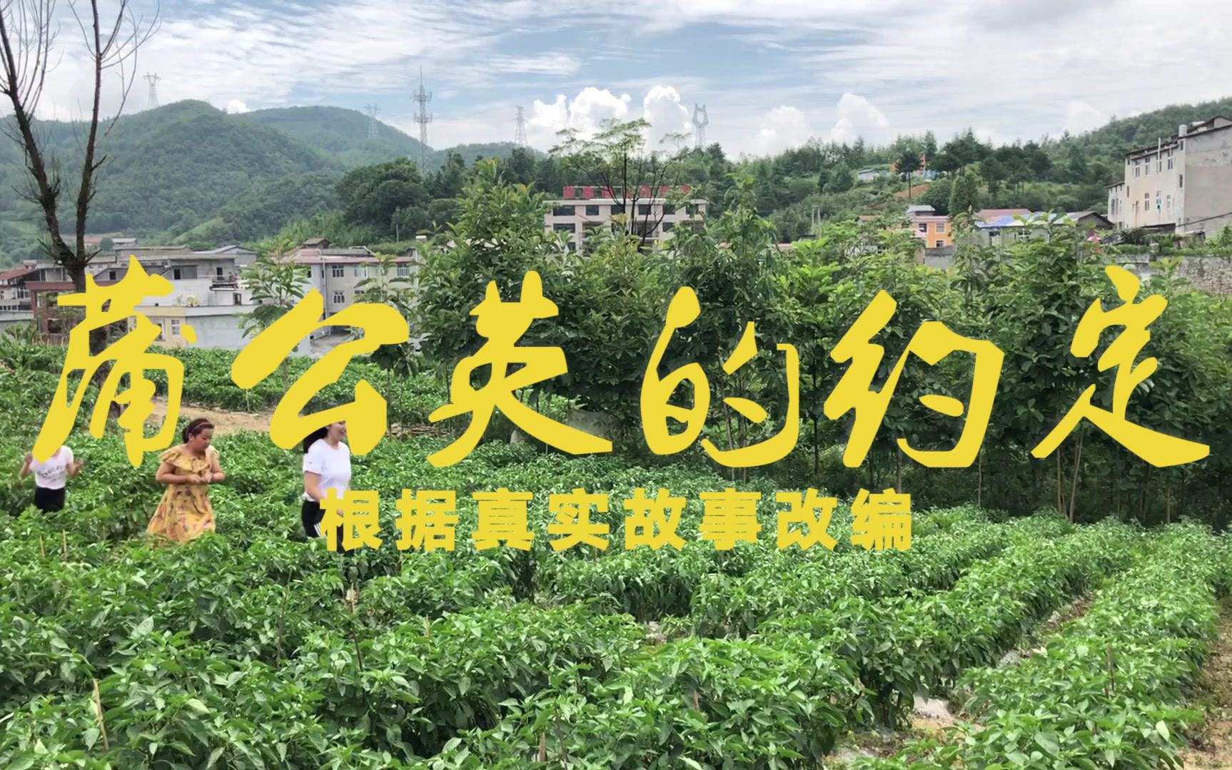 湖北第二师范学院志愿者微电影《蒲公英的约定》