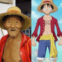 佛罗里达搬运工 