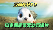治愈动漫:豆瓣评分9.3,皮克斯超可爱动画短片,每一帧都很美