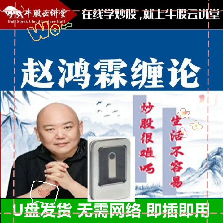 赵鸿霖缠论U盘视频实战详解涨停板突击战法山水缠论分析优盘视频