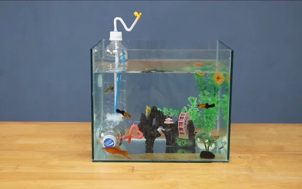 5分钟用可乐瓶给鱼缸草缸做个不用电的过滤器