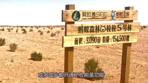 支付宝最良心宣传,赔本两年只为改善沙漠,全网都吃这个套路