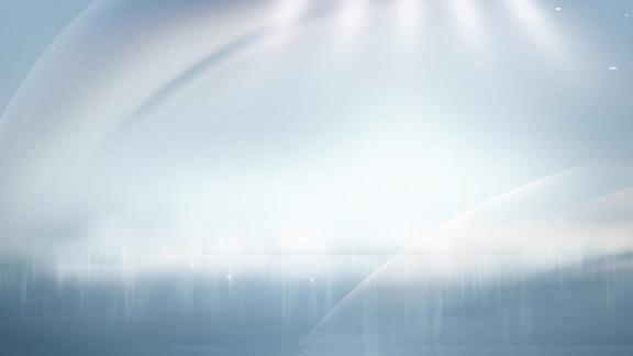 罗平汉:继承和弘扬党的优良传统与作风