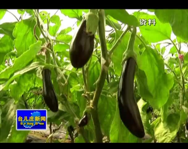 台儿庄区加强农田水利基础设施建设 不断改善农业生产条件