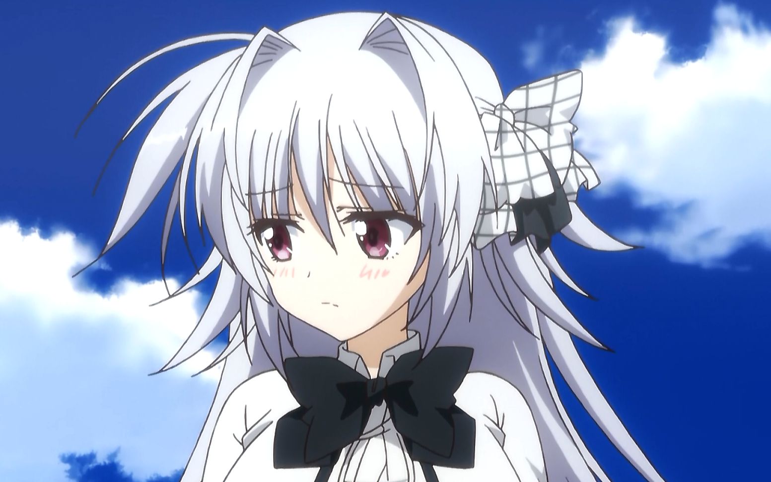 纯后宫动漫推荐 确定不看看吗?