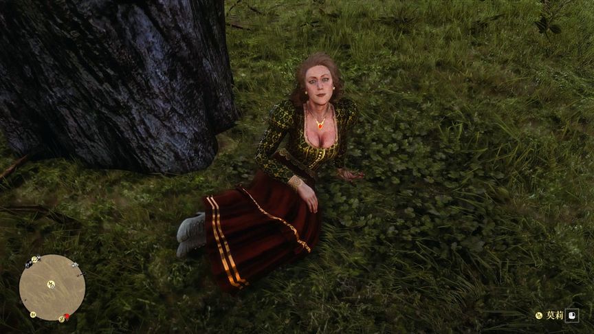 【小权】荒野大镖客2:娱乐流程攻略解说十六期