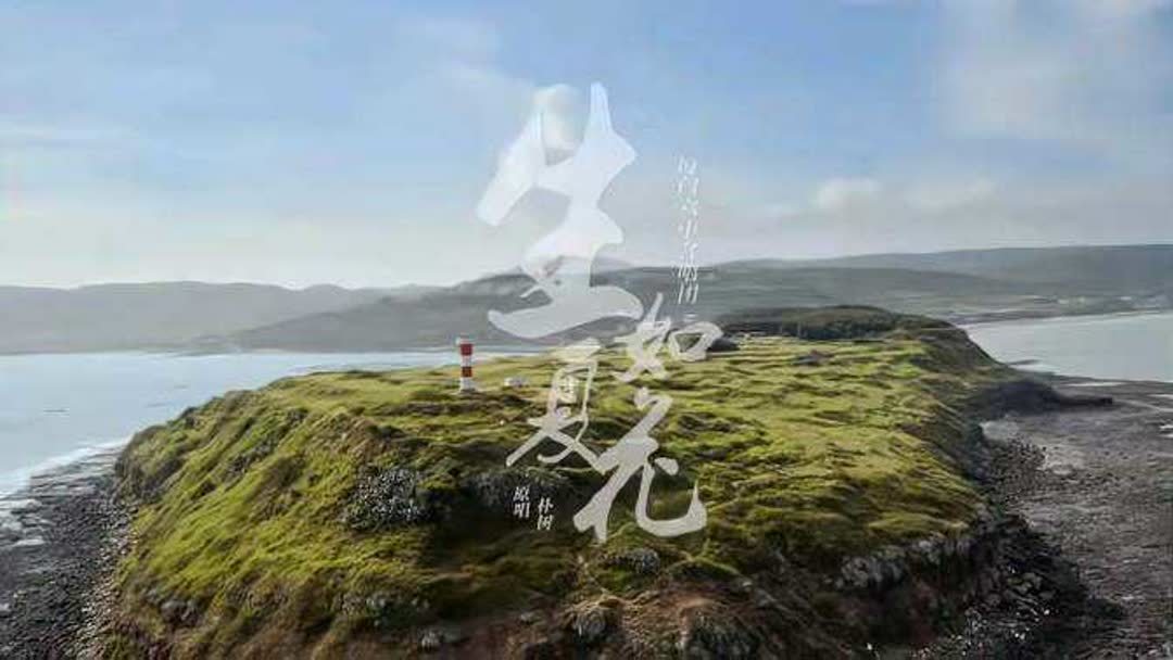 【厦门六中合唱团】《生如夏花》听着听着就哭了!