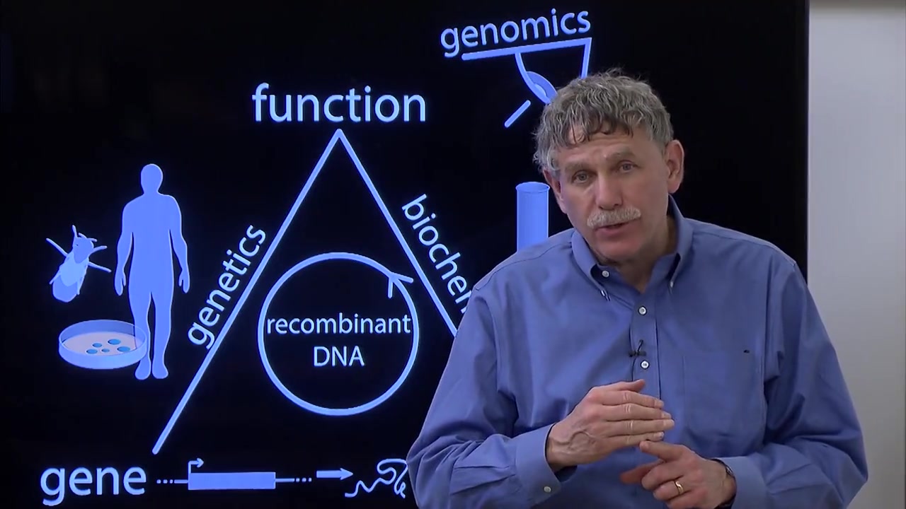 ...- Observing and Perturbing the Genome to Probe Function Part I