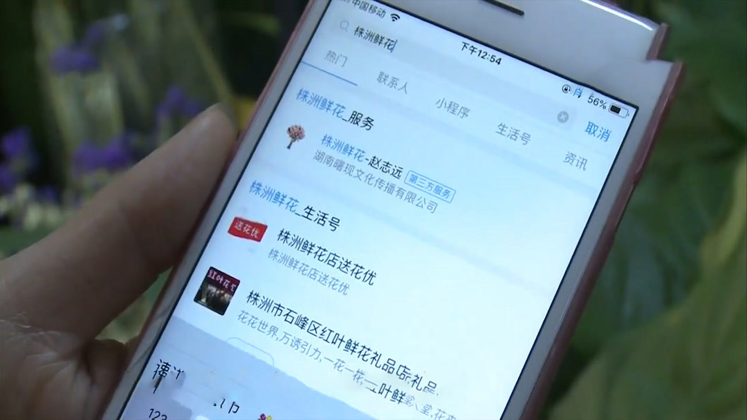 男子假冒“支付宝小程序”营销,多名商家受骗