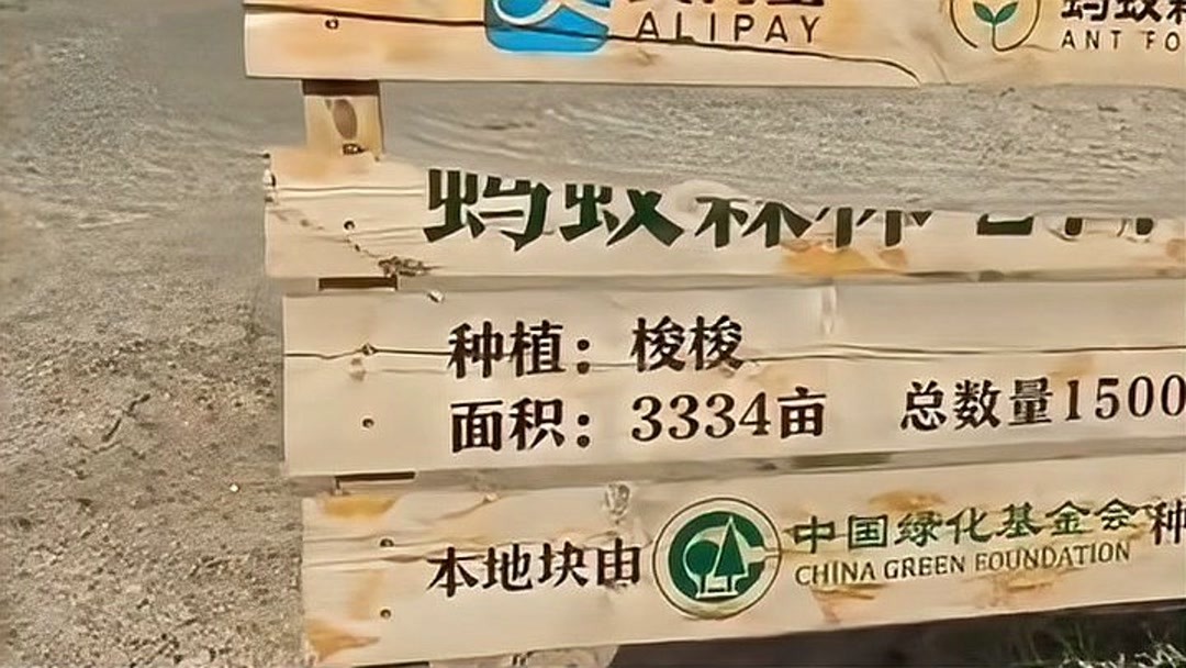 网友发布一视频,疑似在蚂蚁森林种植区:蚂蚁森林的梭梭树在哪?