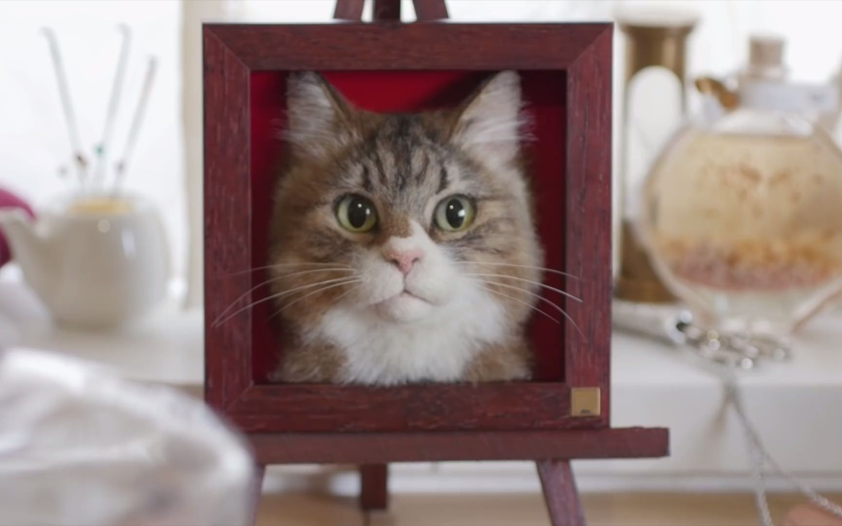 猫咪羊毛毡制作过程(转自YouTube教程)