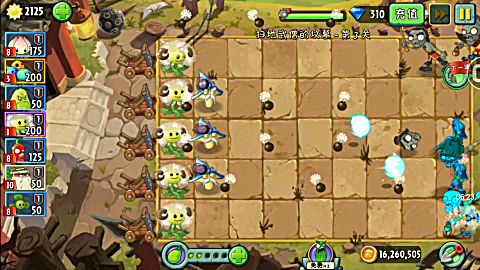 植物大战僵尸2中文版功夫世界无尽挑战:扫地武僧的坟墓